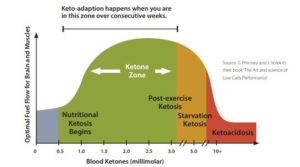 The ideal keto diet guide! Follow it and you will succeed - Diet keto